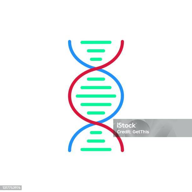 Conception Dicône Dhélice Dadn Ou De Couleur De Chromosome Disolement