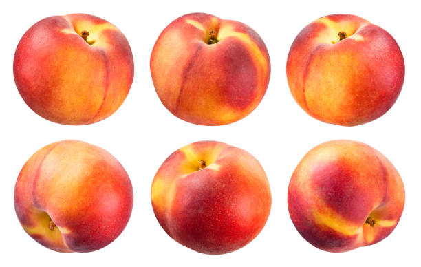 Peach Pictures [HQ] | Download Free Images & Stock Photos on Unsplash