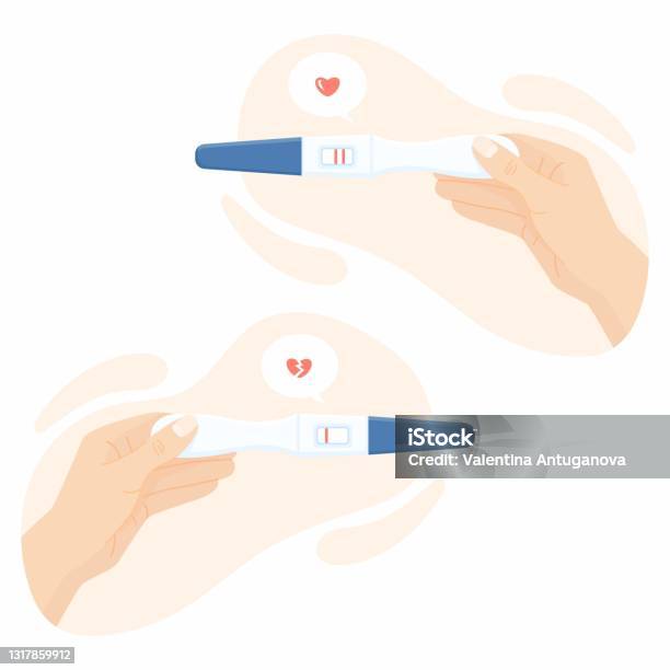 Pregnancy Or Ovulation Positive And Negative Test In Woman Hand Stock