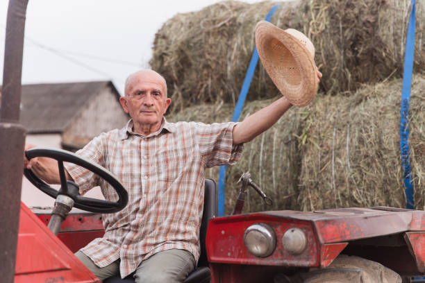 Imagine gratuită: fân, fân, tractor, carul cu fân, fermier, om ...
