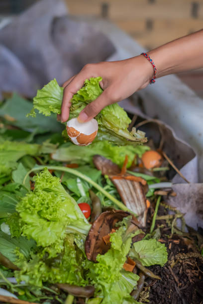 Organic Waste Pictures | Download Free Images on Unsplash