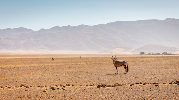 Nature Reserve Pictures | Download Free Images on Unsplash