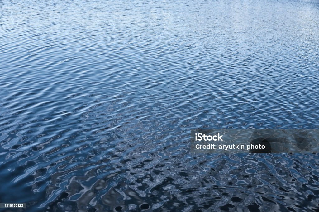 Photo Libre De Droit De Ondulation Calme À La Surface De Leau Rivière