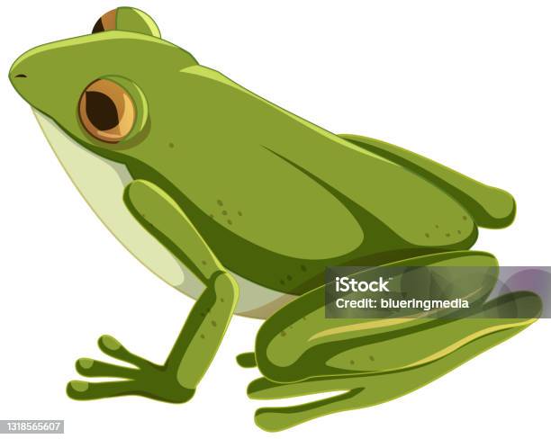 Caractère Vert De Dessin Animé De Grenouille Disolement Vecteurs Libres