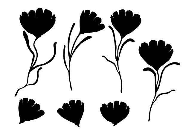 50 Silhouette Of Rose Bush Tattoos Ilustrasi Grafik Vektor And Clip
