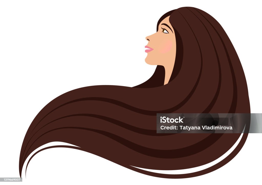 Profile Of A Darkhaired Girl With Long Flowing Hair Stock Illustration