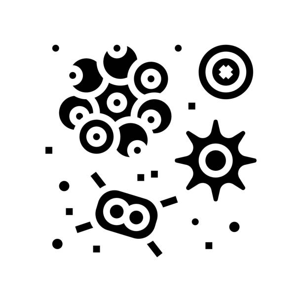 440 Phytoplankton Stock Illustrations Royalty Free Vector Graphics
