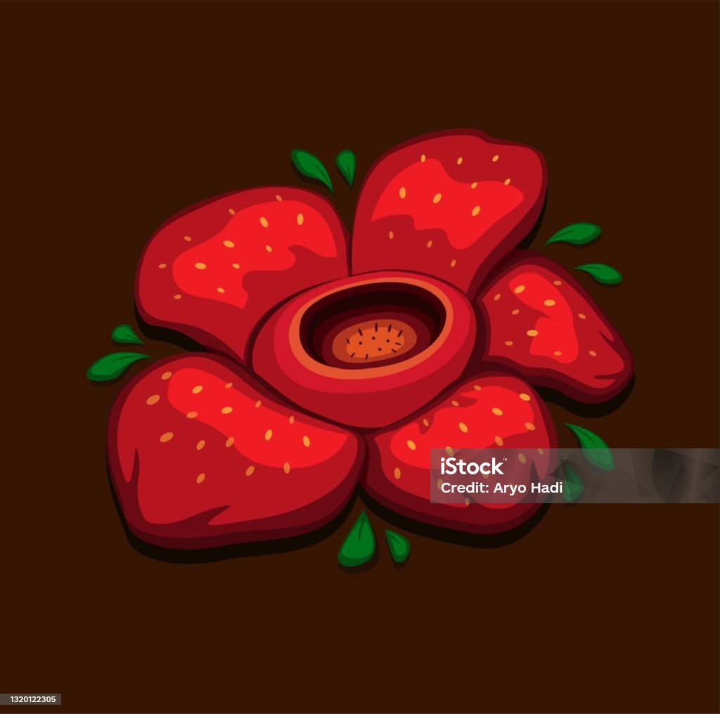 Fleur De Cadavre De Rafflesia Arnoldii Plus Grand Concept De Symbole De ... Fleur De Cadavre De Rafflesia Arnoldii Plus Grand Concept De Symbole De ...