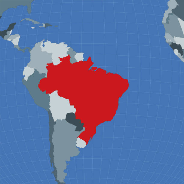 80 Mapa De Brasil Y Viajes Infografía Plantilla De Diseño Fotografías