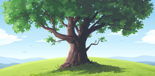 Kids shade tree Clipart Vector PNG , SVG, EPS, PSD, AI