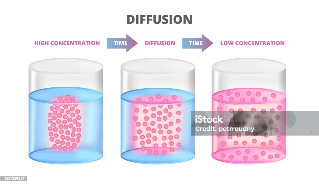 Vector Scientific Scheme Of Diffusion Movement Of Molecules From High ... Vector Scientific Scheme Of Diffusion Movement Of Molecules From High ...