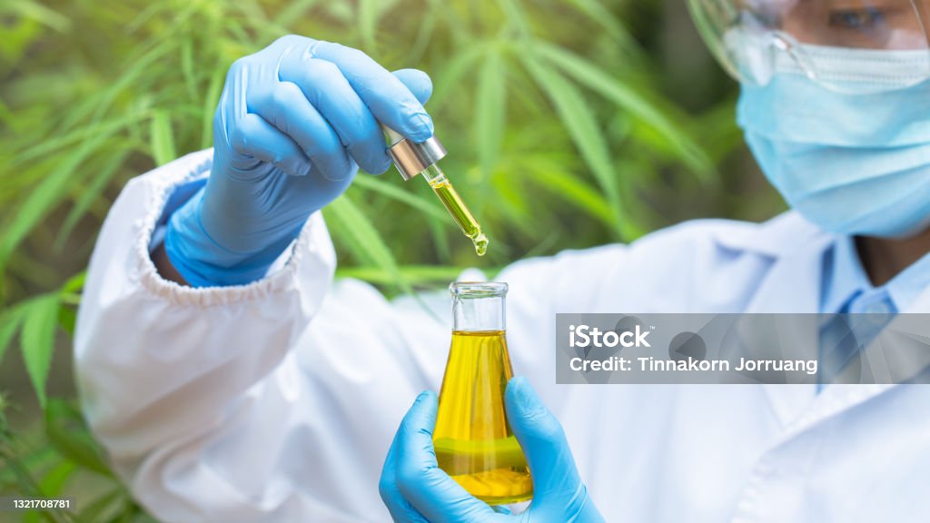 Tangan Memegang Botol Minyak Cannabis Dalam Pipet Minyak Rami Konsep ... Tangan Memegang Botol Minyak Cannabis Dalam Pipet Minyak Rami Konsep ...