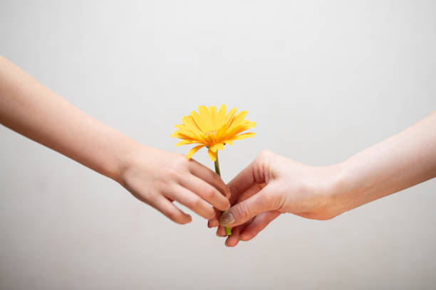 Free Stock Photo of A hand holding a white and yellow flower | Download ...