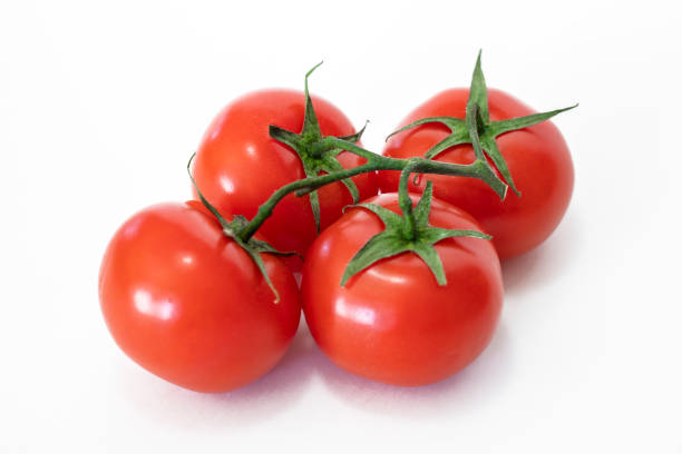 27+ Tomato Pictures | Download Free Images on Unsplash
