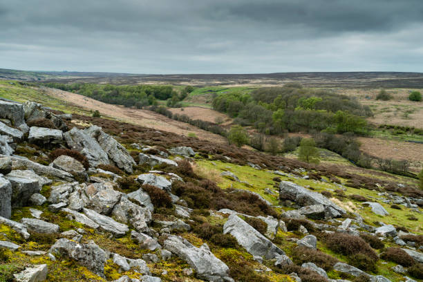 Yorkshire Moors Pictures | Download Free Images on Unsplash