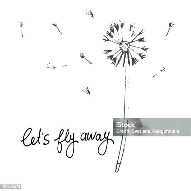Mari Kita Terbang Jauh Kartu Vektor Ilustrasi Tangan Digambar Dandelion ... Mari Kita Terbang Jauh Kartu Vektor Ilustrasi Tangan Digambar Dandelion ...
