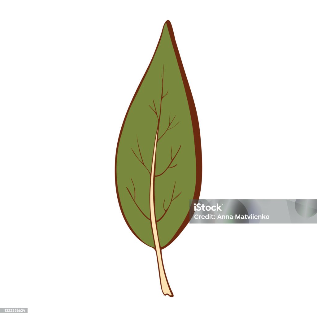 Warna Hijau Daun Yang Digambar Tangan Terisolasi Pada Latar Belakang