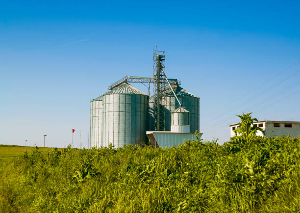 Free Stock Photo of A large white and green silos | Download Free ...