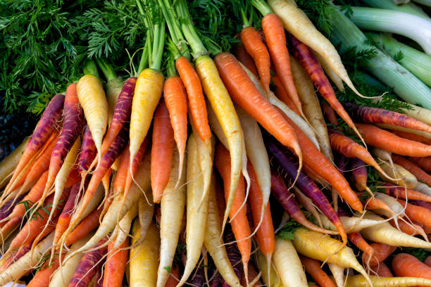 Root Vegetables Pictures | Download Free Images on Unsplash