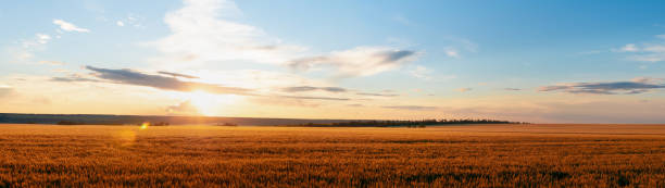 Free Stock Photo of Field | Download Free Images and Free Illustrations