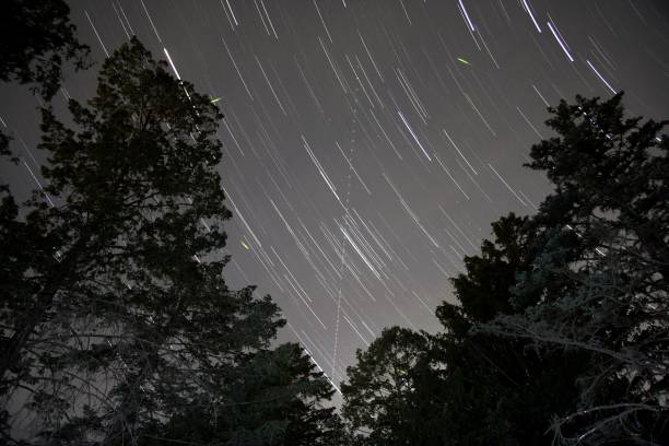 Free Stock Photo of Star Trails in the Night Sky Over Trees | Download ...