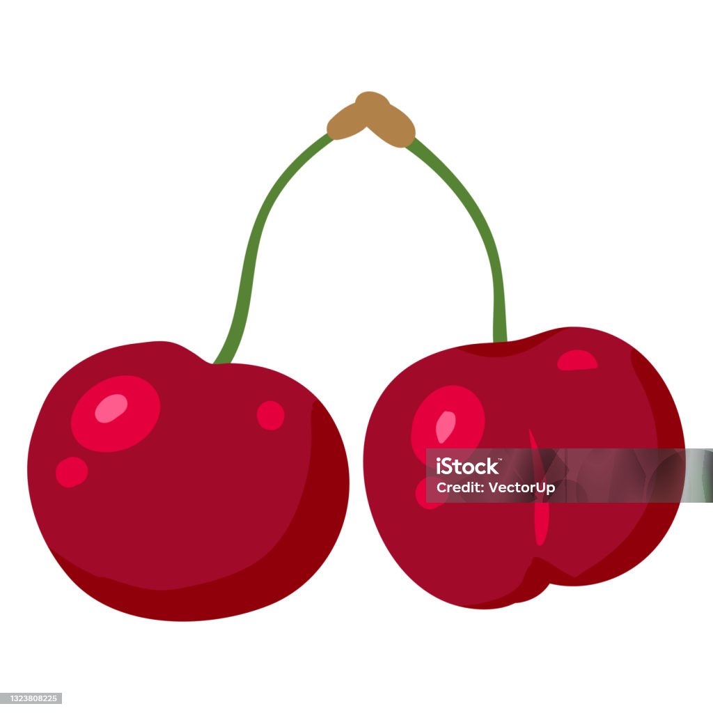 Cherry Fruit Natural Healthy Organic Nutrition Product Vector Cartoon