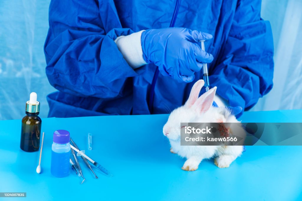 Dokter Hewan Dan Memeriksa Konsep Hewan Perawatan Kesehatan Wanita ... Dokter Hewan Dan Memeriksa Konsep Hewan Perawatan Kesehatan Wanita ...