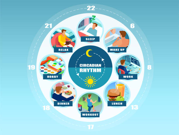 27 100+ Healthy Sleep Stock Illustrations, graphiques vectoriels libre ... 27 100+ Healthy Sleep Stock Illustrations, graphiques vectoriels libre ...