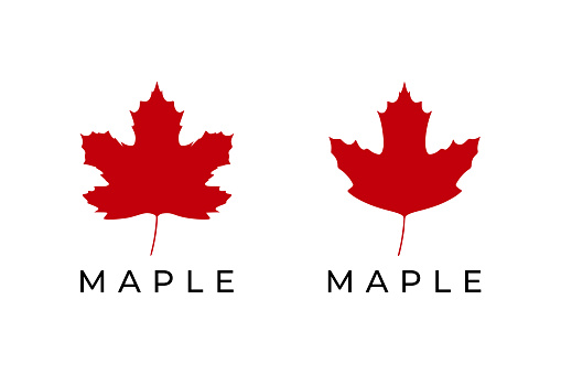 Symbole De La Feuille Dérable Isolé Sur Fond Blanc Illustration