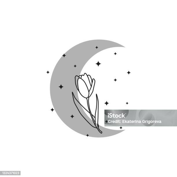 Bohemian Crescent Moon With Outline Tulip Stock Illustration Download