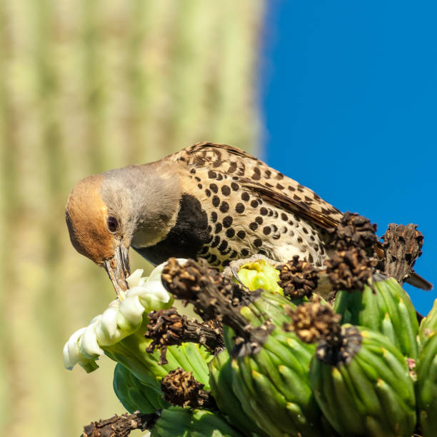 Flicker Pictures | Download Free Images on Unsplash