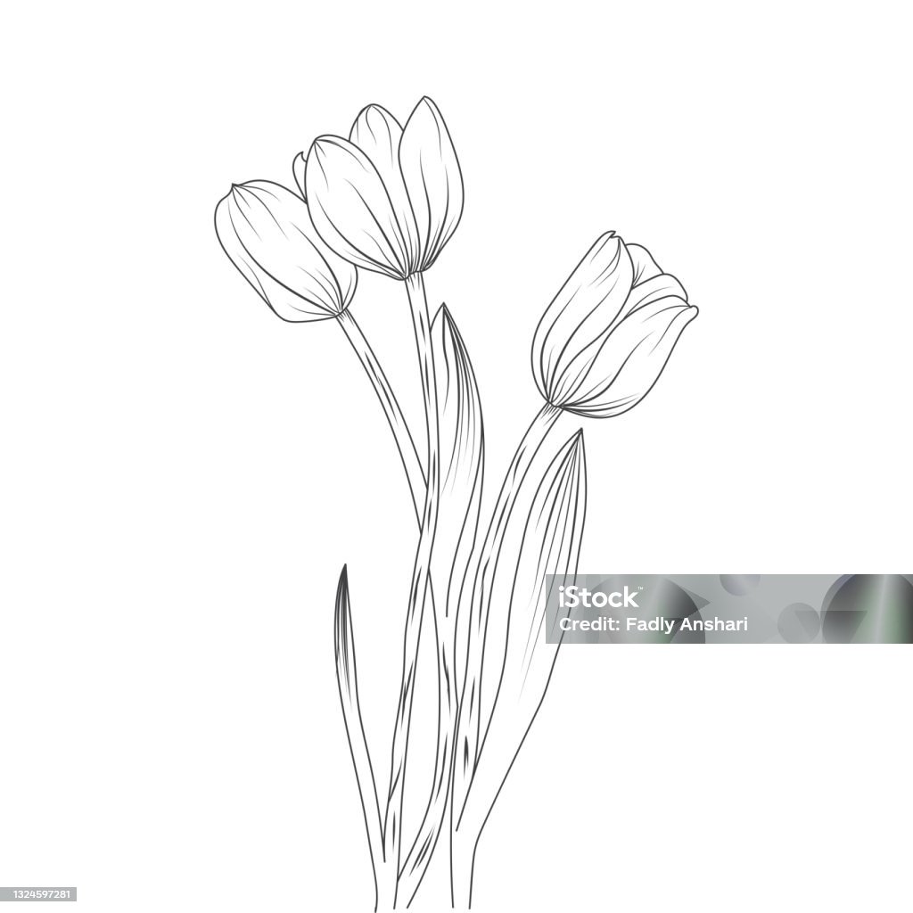 Ilustración De Arte Lineal De La Flor De Boceto Ilustración Vectorial