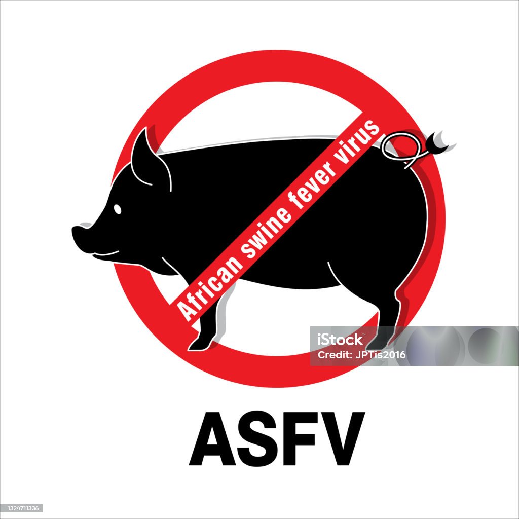 Watch For The Threat African Swine Fever Virus Stock Illustration