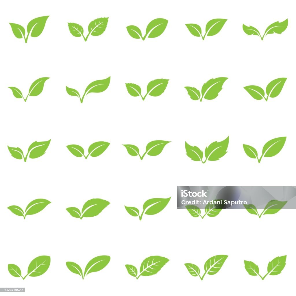 Vert Feuilles Icône Vectoriel Set Diverses Formes De Feuilles Vertes