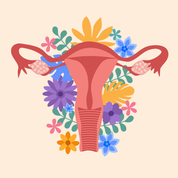 [90] Flower uterus Clipart Vector PNG , SVG, EPS, PSD, AI