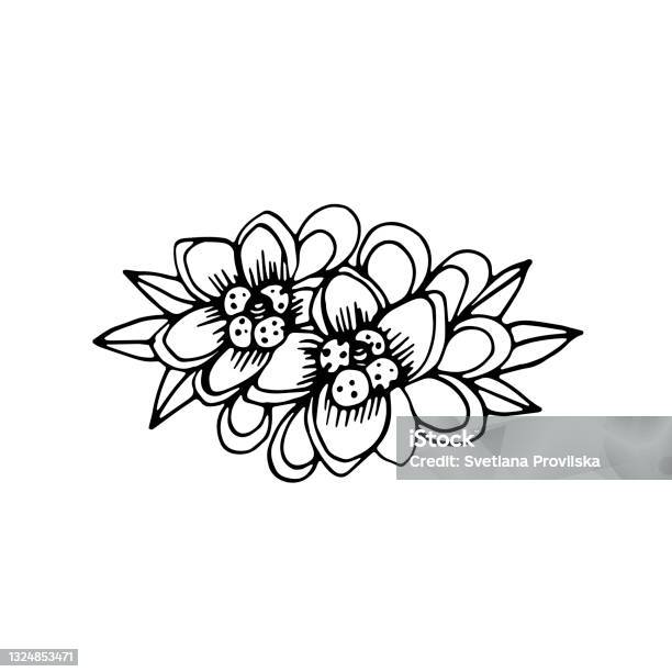 Hand Drawn Orchid Flowers One Line Drawing Vector Minimalist Art
