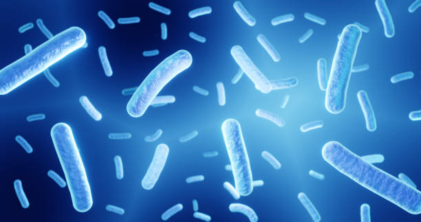 Bacteria Pictures [HD] | Download Free Images on Unsplash