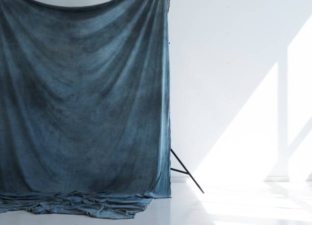 750+ Photoshoot Pictures | Download Free Images on Unsplash