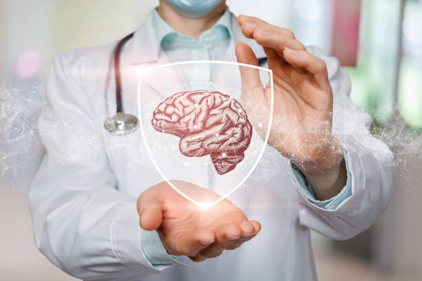 Free Stock Photo of The doctor examines the human brain with a ...