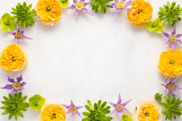 Free Stock Photo of Flower Background - Complete frame | Download Free ...