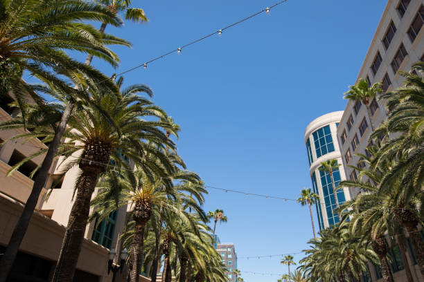 Anaheim Pictures | Download Free Images on Unsplash