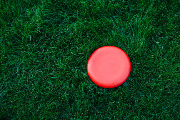 Frisbee Pictures | Download Free Images on Unsplash