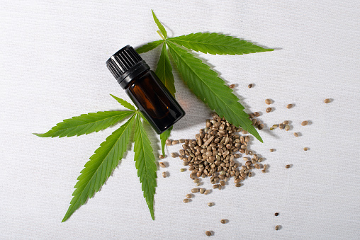 Biji Ganja Daun Rami Muda Dan Minyak Cbd Kosmetik Di Latar Belakang