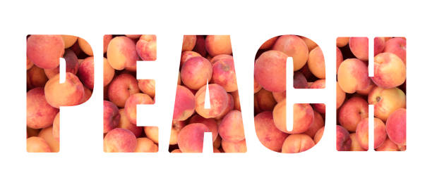 Peach Background Pictures | Download Free Images on Unsplash