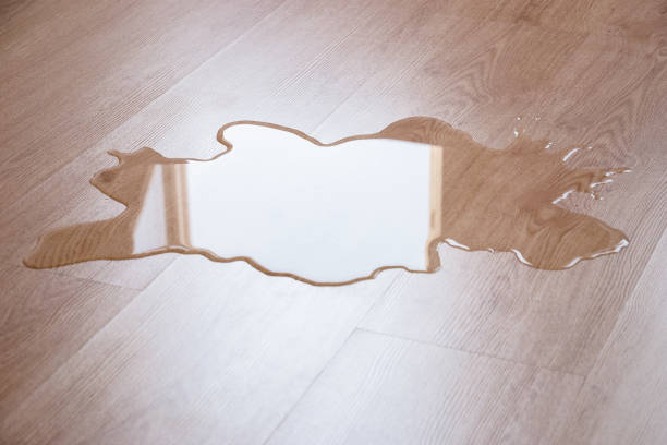 750+ Puddle Pictures | Download Free Images on Unsplash