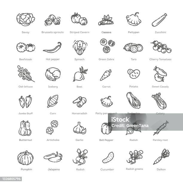 Vegetables Set Basic Vegetables Thin Line Icons Stock Illustration ... Vegetables Set Basic Vegetables Thin Line Icons Stock Illustration ...