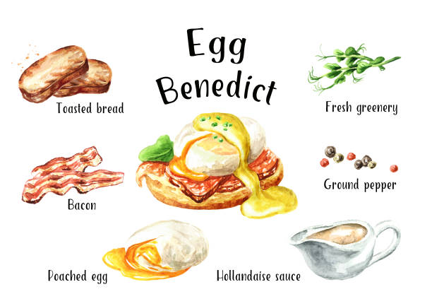 30 Poached Egg Bacon Stock Illustrations Royalty Free Vector Graphics