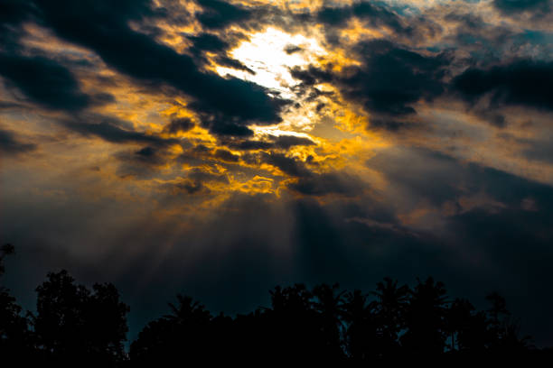 Aky Pictures | Download Free Images on Unsplash