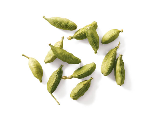 500+ Cardamom Pictures [HD] | Download Free Images on Unsplash