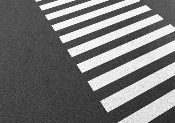 50 Crosswalk Line Background Textured Stock Illustrations Royalty